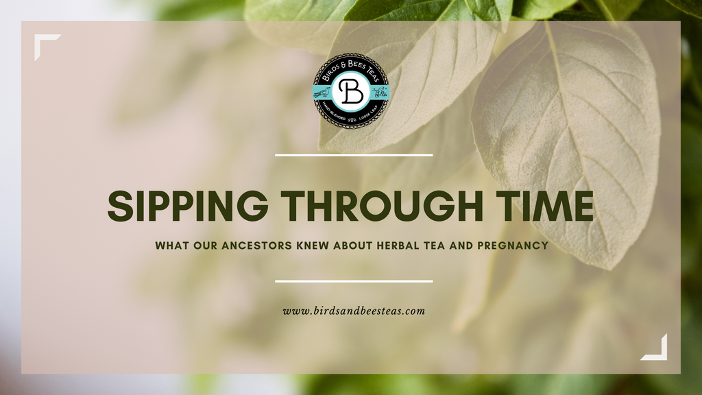 Sipping Through Time: What Our Ancestors Knew About Herbal Tea and Pre ...